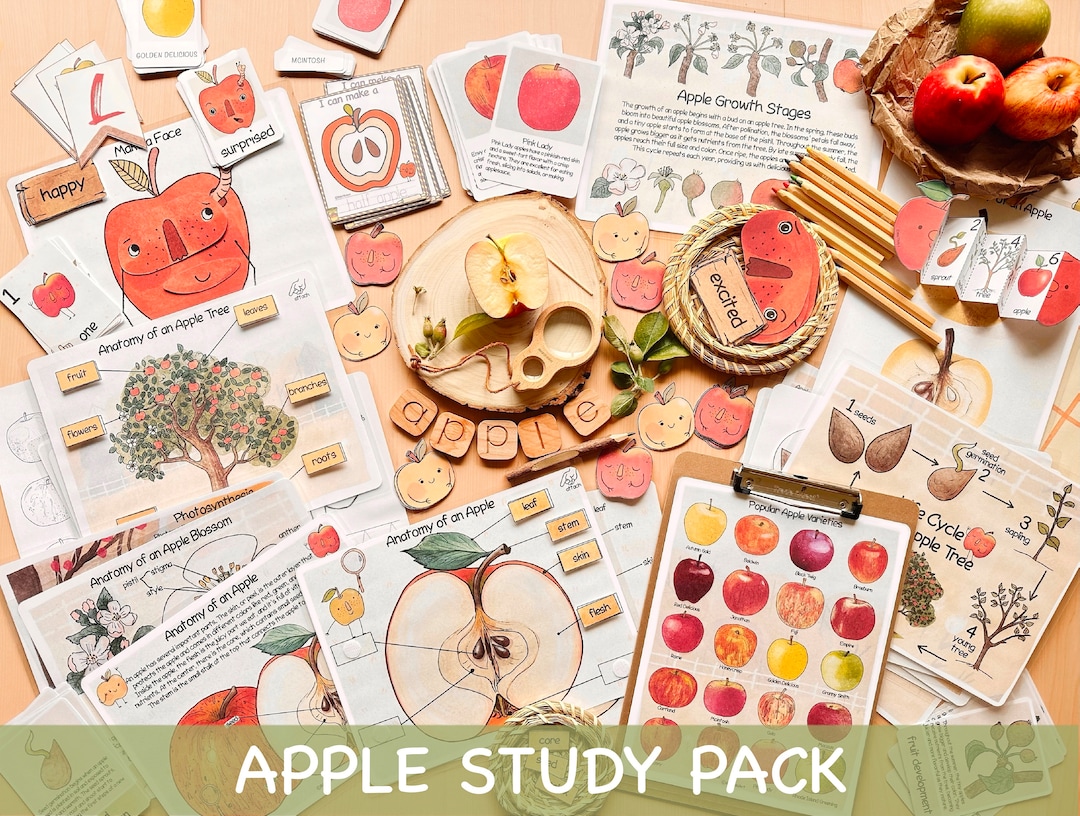 Apple Unit Study Homeschool Fall Printables Charlotte Mason Preschool ...