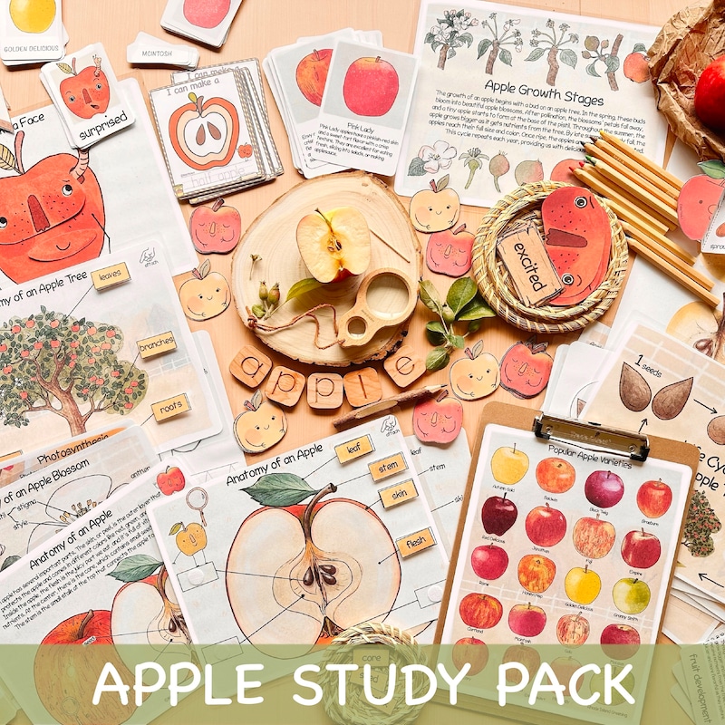 Pre K Science Unit - Etsy