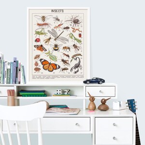 Insects Downloadable Prints Montessori Educational Poster Homeschool ...