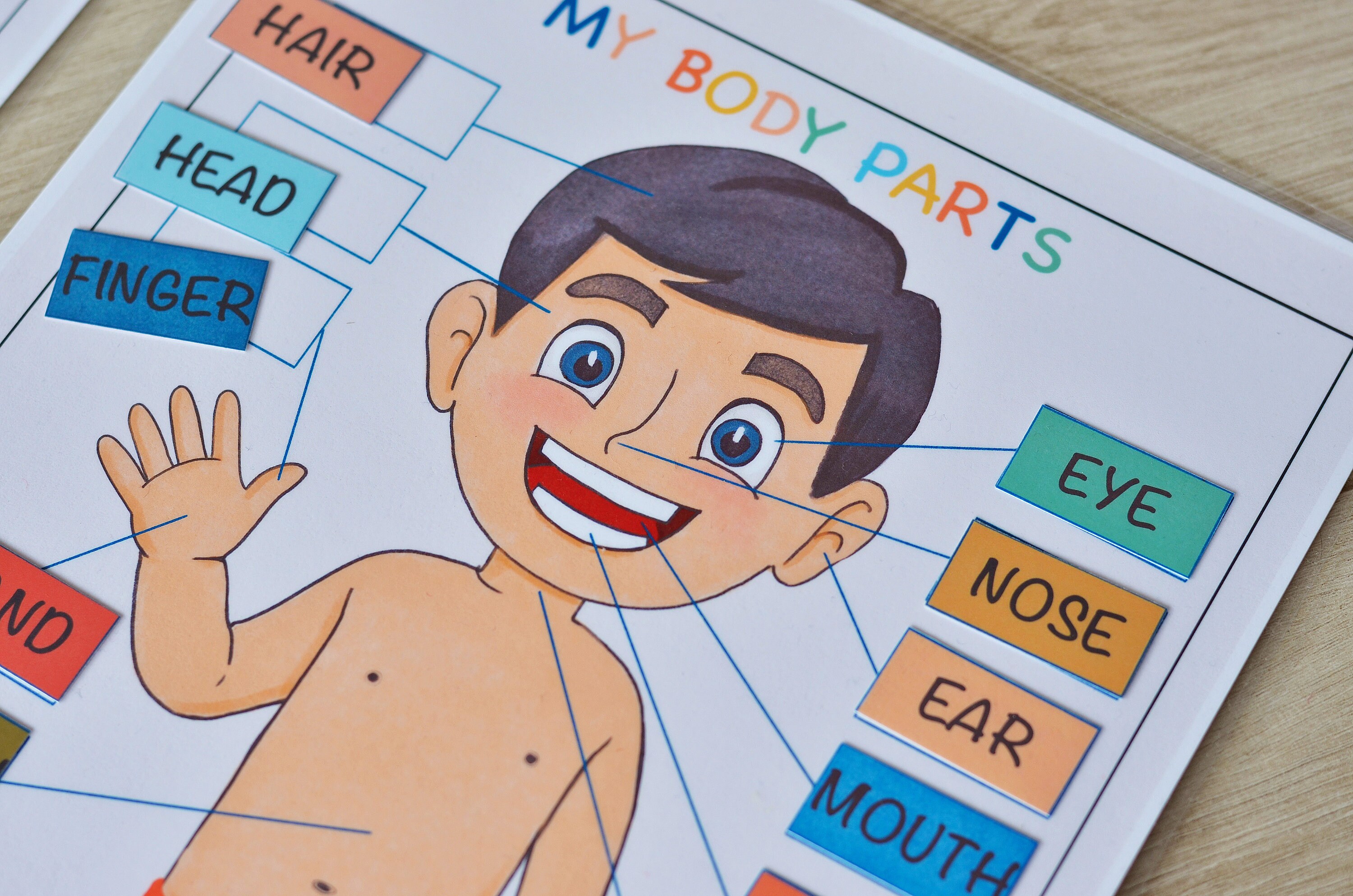 Body Parts Busy Bundle Printable Montessori Materials | Etsy