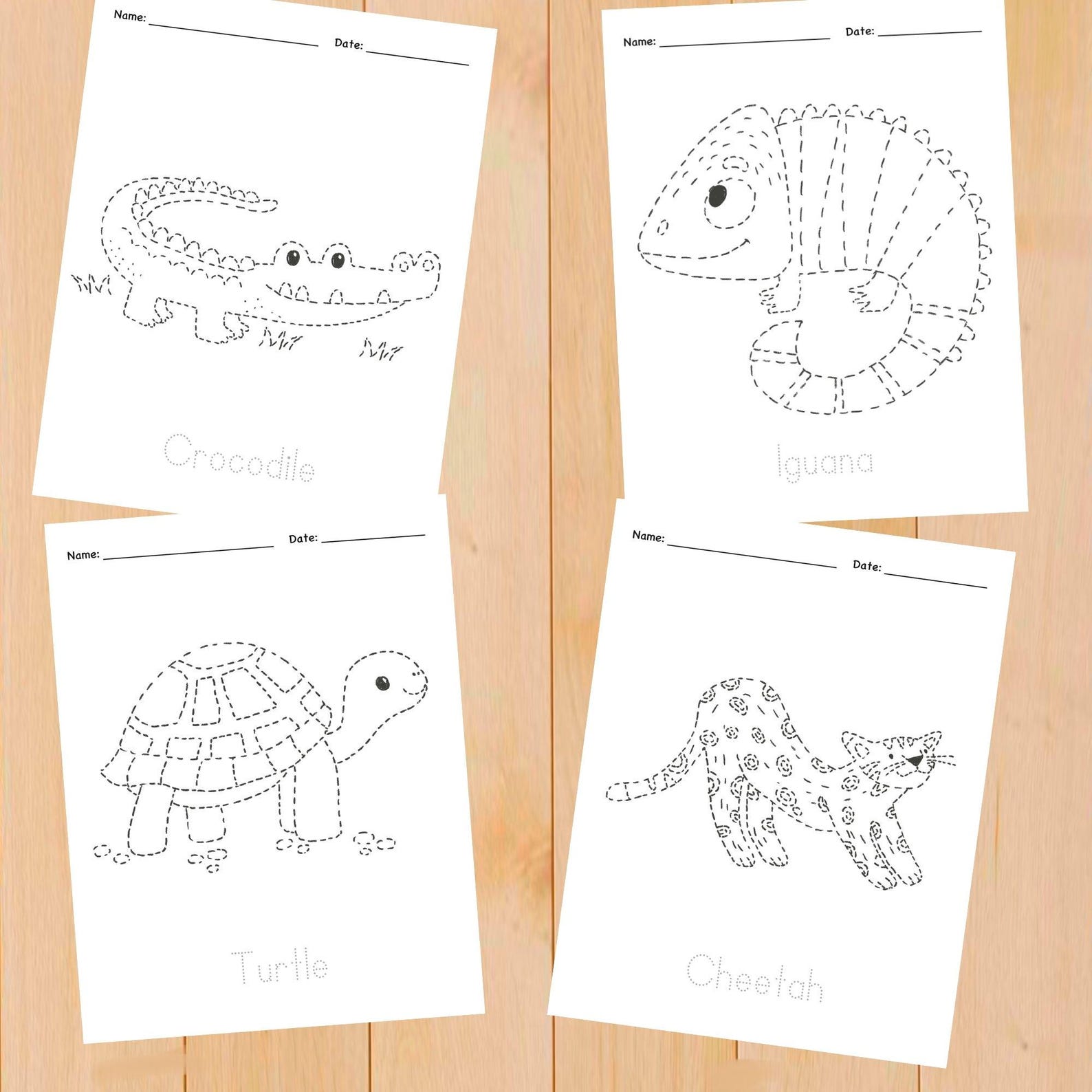 Zoo Animal Tracing Worksheets: Summer Activity (digital Download) - Etsy
