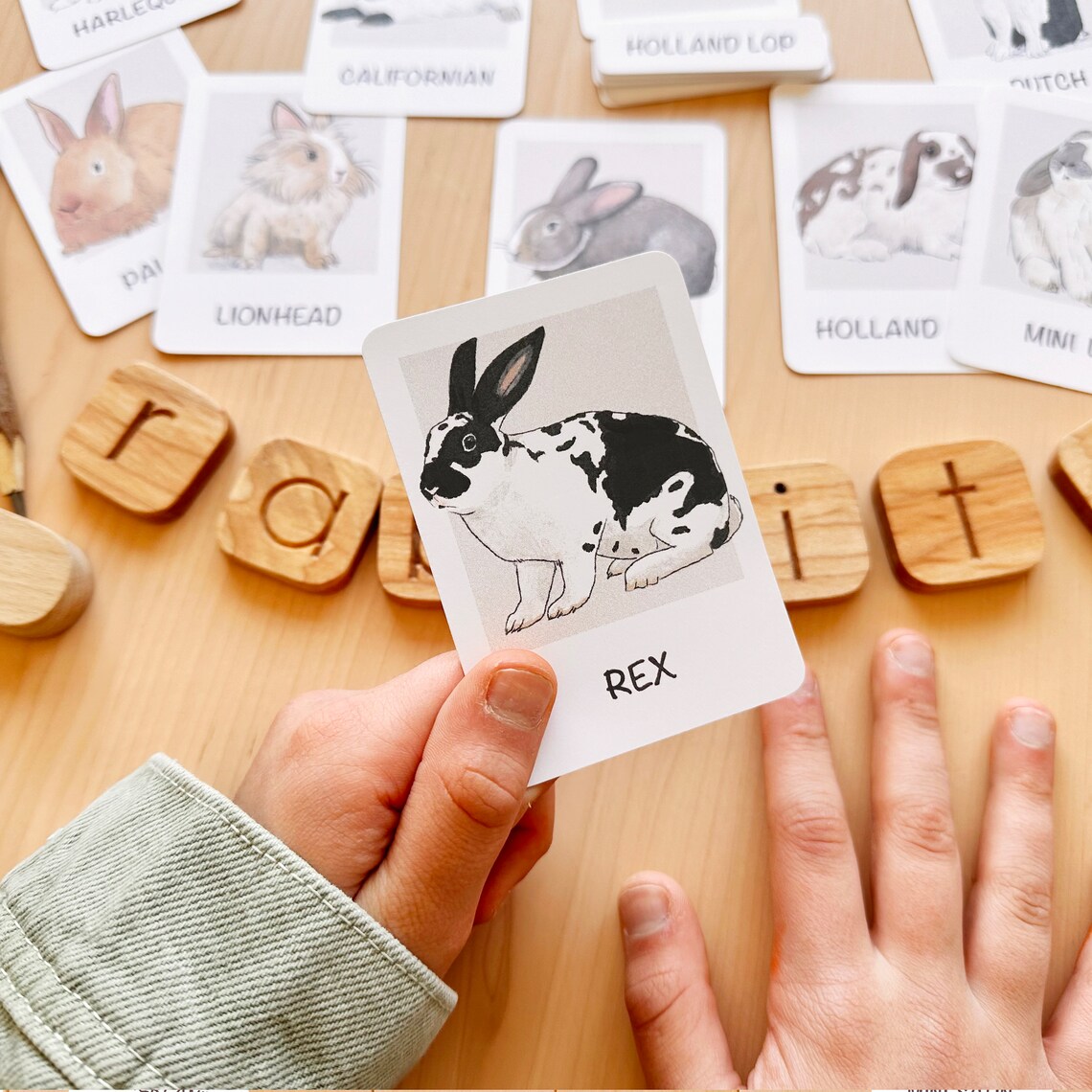 Rabbit Flash Cards Montessori Printable Homeschool Resources Nature ...