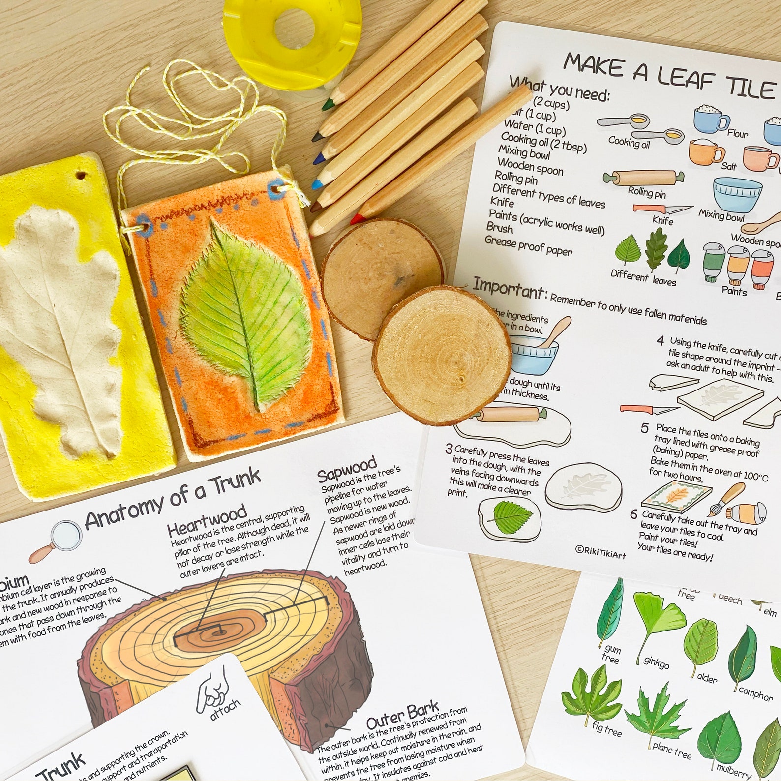Tree Unit Study Bundle Charlotte Mason Anatomy of a Tree Nature Study ...