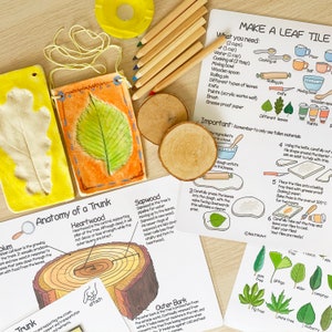 Tree Unit Study Bundle Charlotte Mason Anatomy of a Tree Nature Study ...