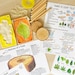 Tree Unit Study Bundle Charlotte Mason Anatomy of a Tree Nature Study ...