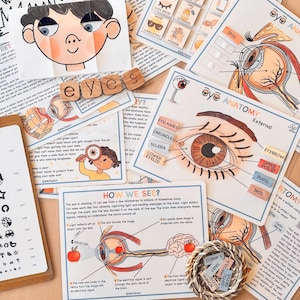 Human Eye Anatomy Bundle for Kids Human Body Parts, Human Anatomy ...