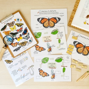 Printable Nature Journal Homeschool Learning Materials Charlotte Mason ...