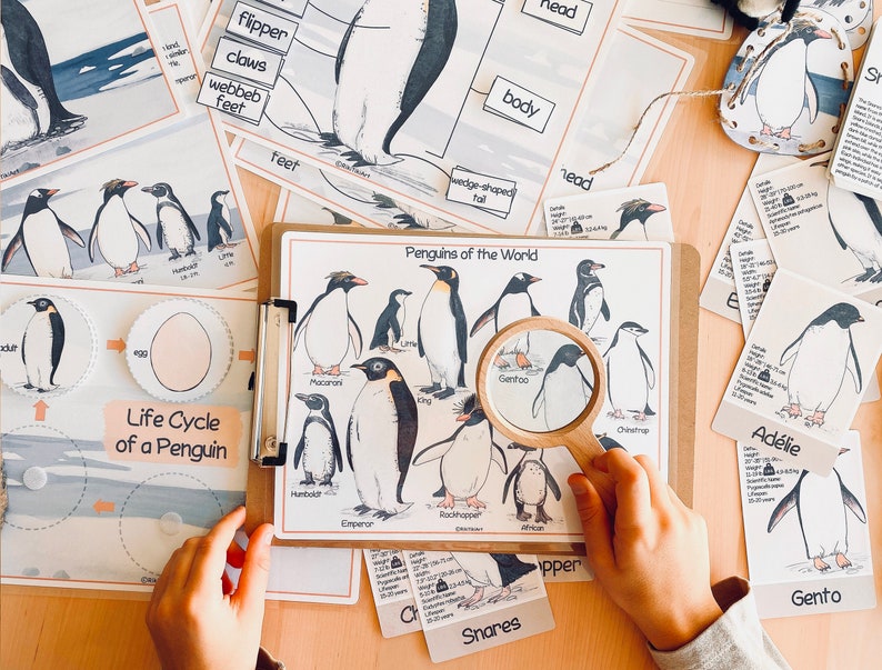 Penguins Unit Study Winter Homeschool Learning Materials - Etsy