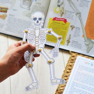 Human Skeleton Busy Book Page, Printable Montessori Materials ...
