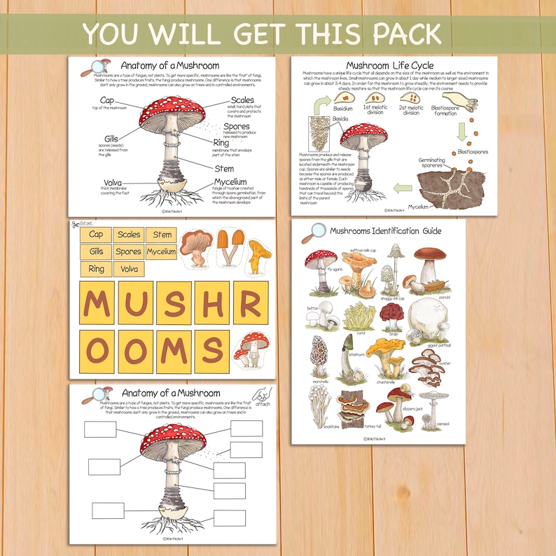 Mushrooms Unit Study Bundle Charlotte Mason Homeschool - Etsy