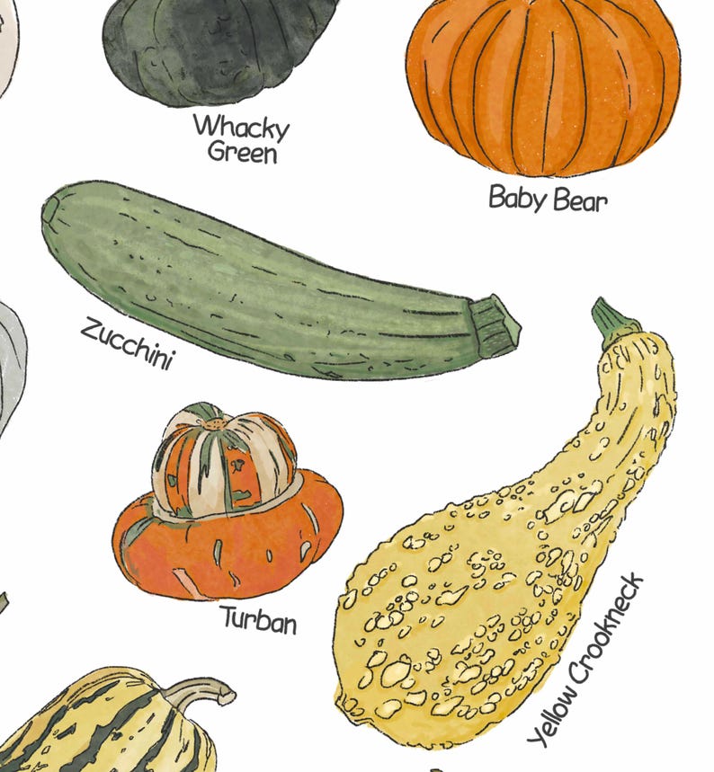 Pumpkins & Squash Poster, Fall Homeschool Printable Educational Wall ...