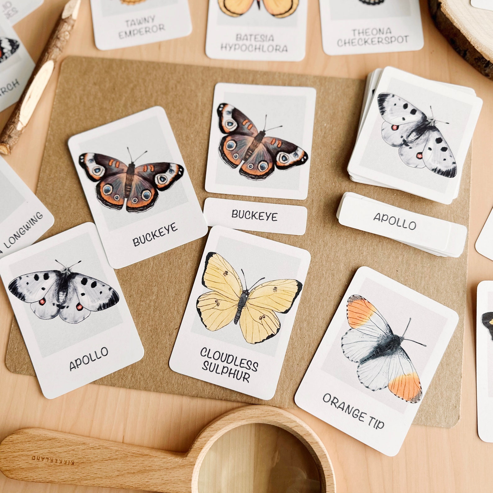 Butterfly Flash Cards Montessori Printable Homeschool Resources Toddler ...