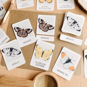 Butterfly Flash Cards Montessori Printable Homeschool Resources Toddler ...