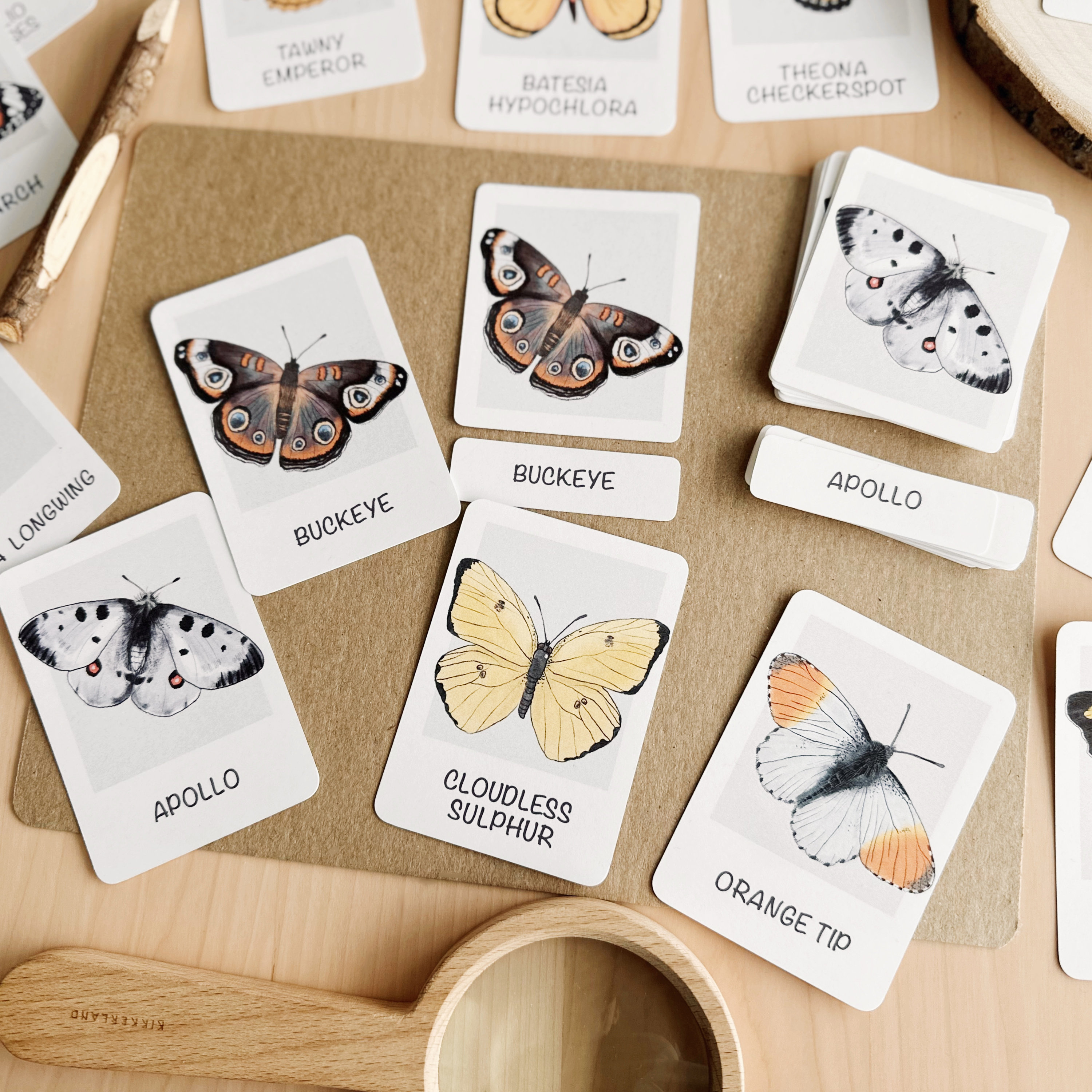 Butterfly Flash Cards Montessori Printable Homeschool Resources Toddler ...