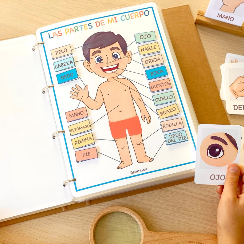 Spanish Body Parts Printable Montessori Materials, Human Anatomy ...