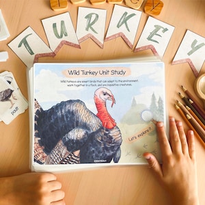 Turkey Unit Study Fall Homeschool Learning Materials Charlotte Mason ...