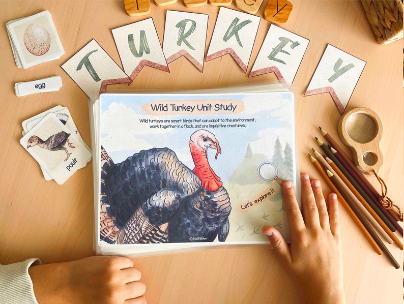 Turkey Unit Study Fall Homeschool Learning Materials Charlotte - Etsy