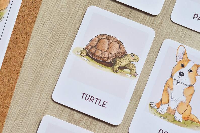 Pets Flashcards Homeschool Montessori Materials Flash Cards - Etsy