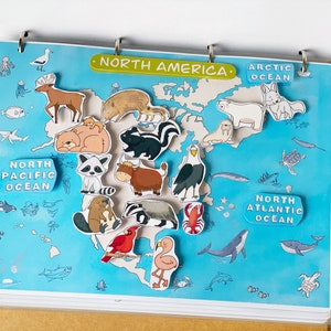 World Animals Busy Book Printable Preschool Curriculum Homeschool ...