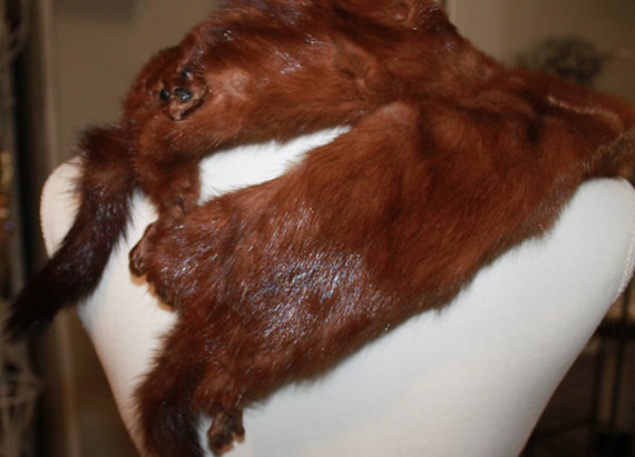 Vintage 1940's four Mink Collar Douglas Furs Charlotte - Gem