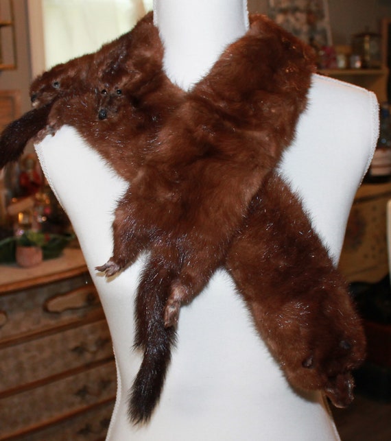 Vintage 1940's four Mink Collar Douglas Furs Charlotte - Gem