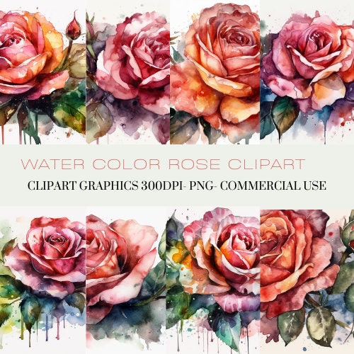 Water Color Rose Clipart PNG Pack - Etsy