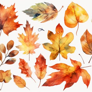 Water Color Fall Themed Clipart Pack - Etsy