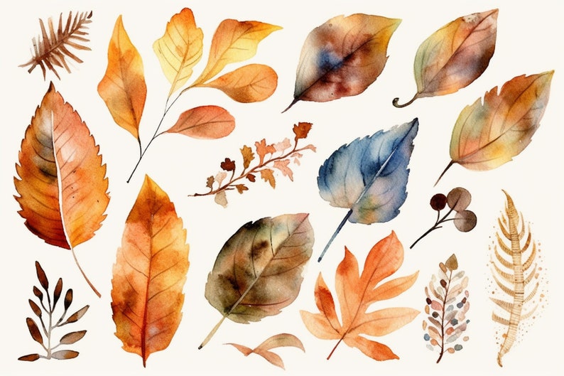 Water Color Fall Themed Clipart Pack - Etsy