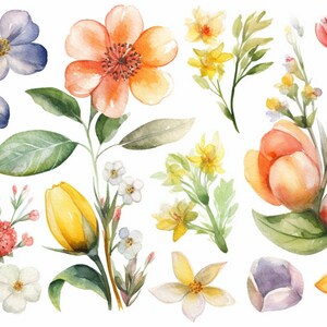 Water Color Spring Theme Clip Art - Etsy