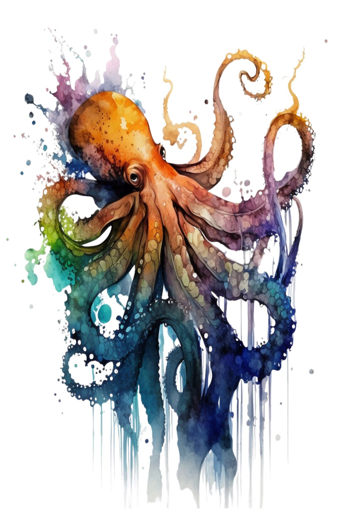 Water Color Octopus Digital Print - Etsy
