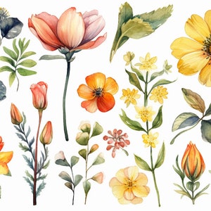 Water Color Spring Theme Clip Art - Etsy