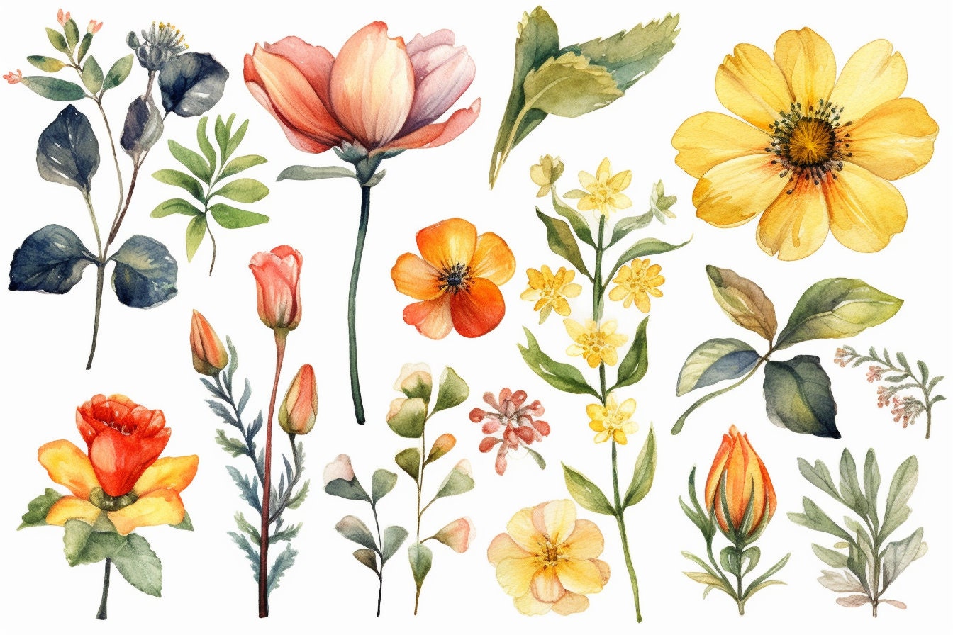 Water Color Spring Theme Clip Art - Etsy