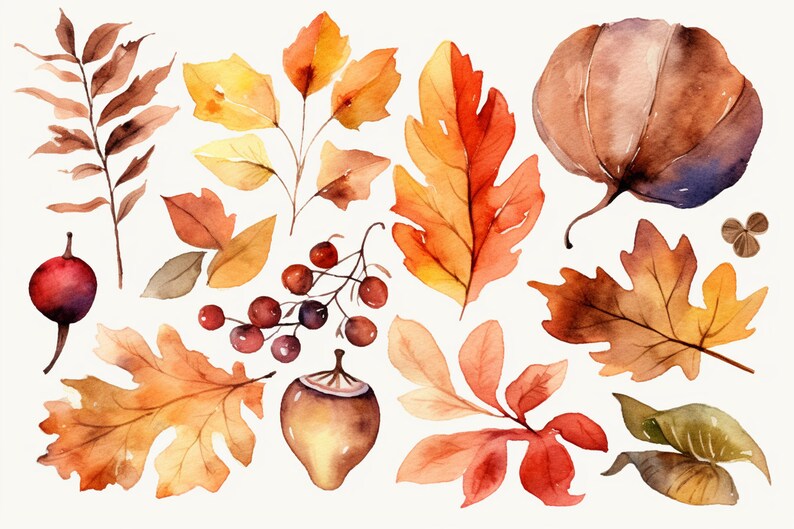Water Color Fall Themed Clipart Pack - Etsy