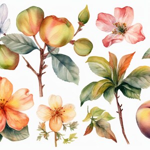 Water Color Spring Theme Clip Art - Etsy
