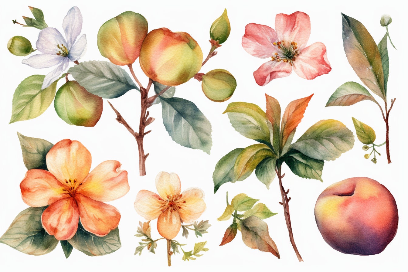 Water Color Spring Theme Clip Art - Etsy