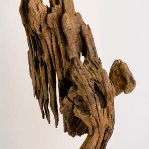 Musical Instrument Driftwood Abstract Artwork Sculpture - Etsy 日本