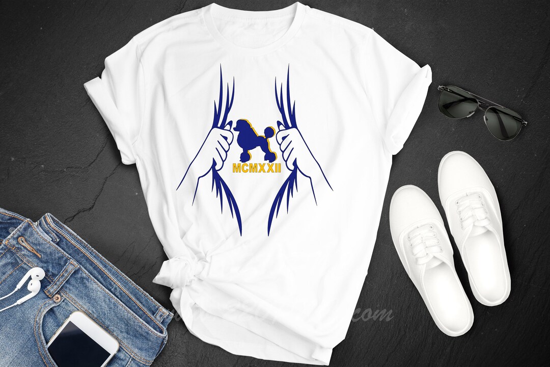 Super Hero MCMXXII (1922.) | Sgrho | Sigma Gamma R T-shirt | Roman ...