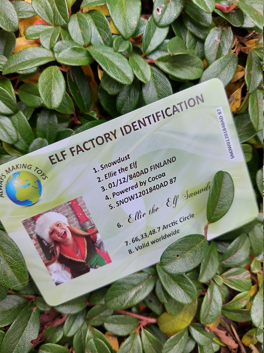 Chief Elf Lost ID Card, Elf Factory Identification Badge, Visiting ...