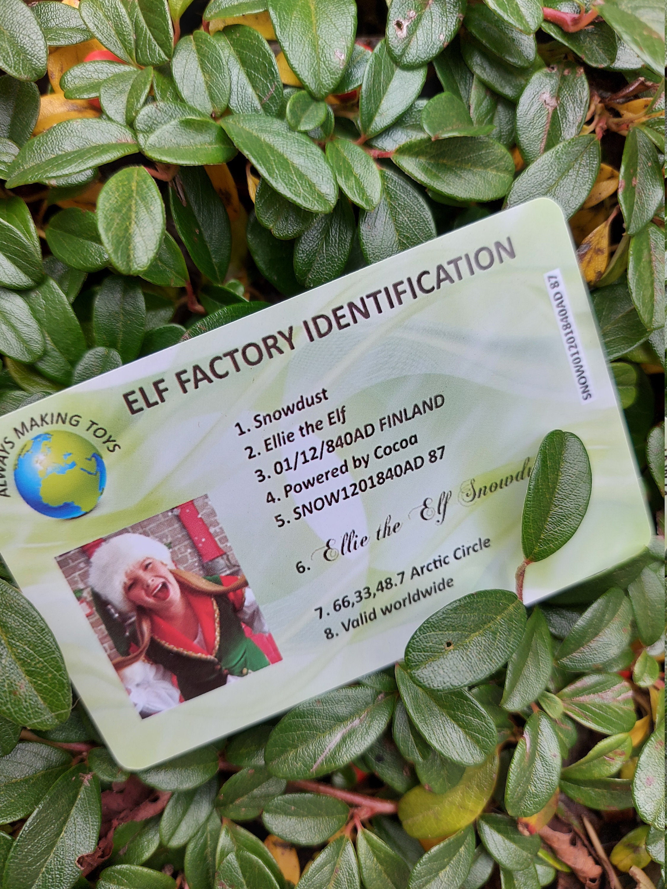 Chief Elf Lost ID Card Elf Factory Identification Badge - Etsy