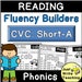 Reading Fluency Builders - CVC Short A - Etsy