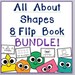 2D Shapes Flip Book Bundle - Etsy
