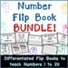 Differentiated Number Flip Books (flipbooks) 1 to 20 - Etsy
