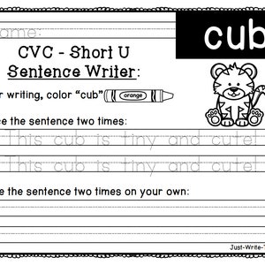 Reading Fluency Builders - CVC Short Vowels - Etsy