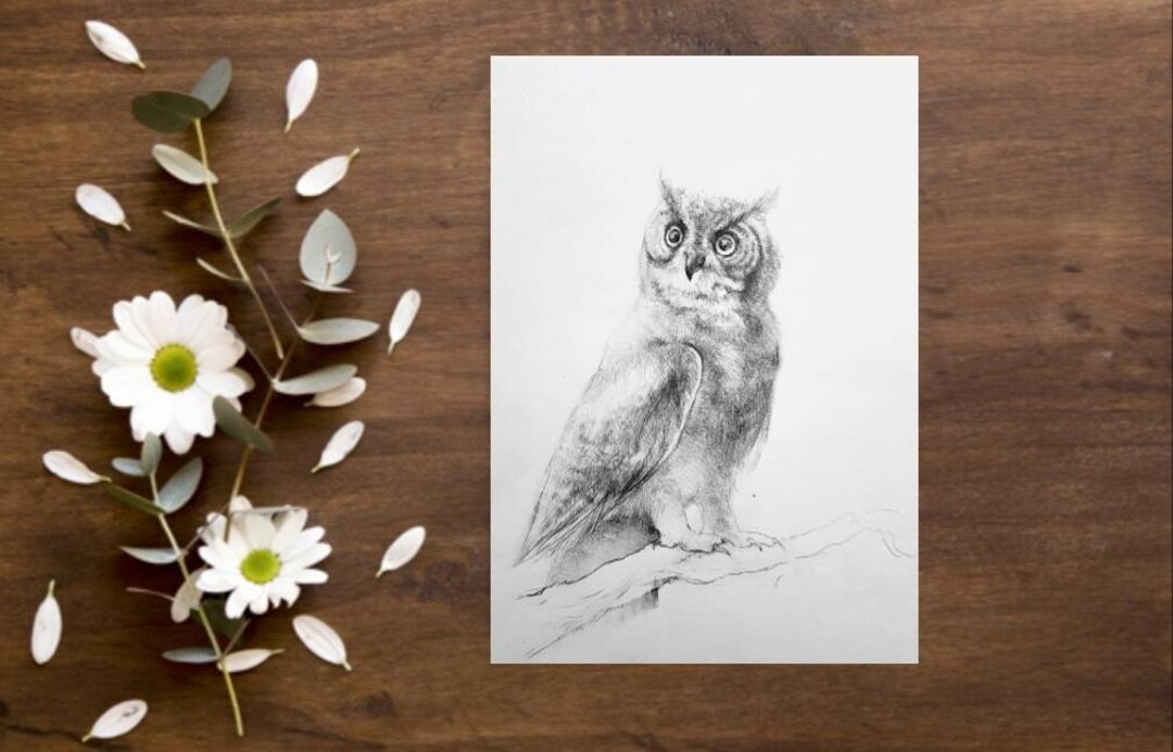 Night Owl, Original Pencil Drawing on Paper, Big Bird Animal ...