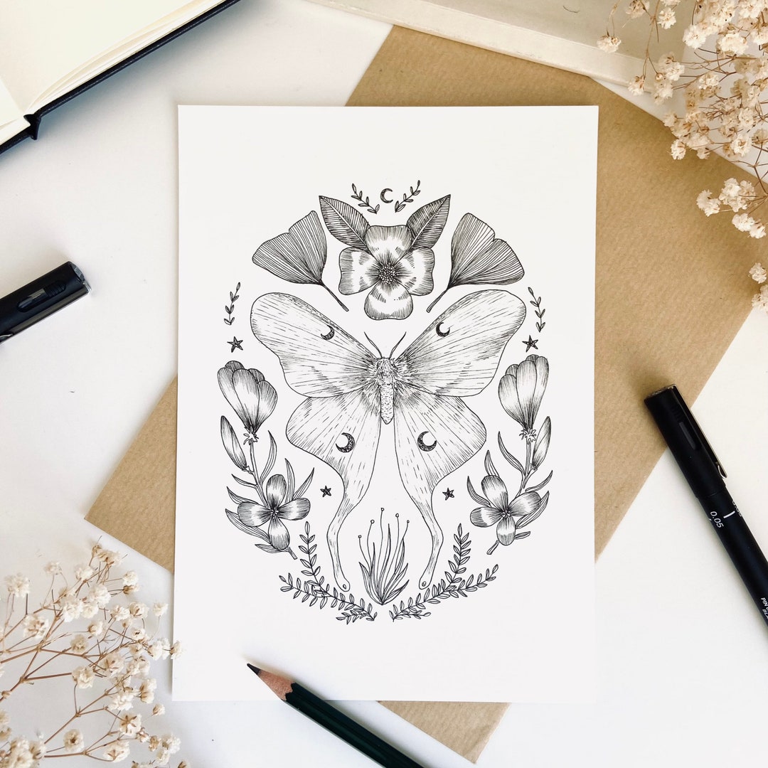 Lunar Moth Original Drawing, Lunar Moth Original Illustration, Black ...