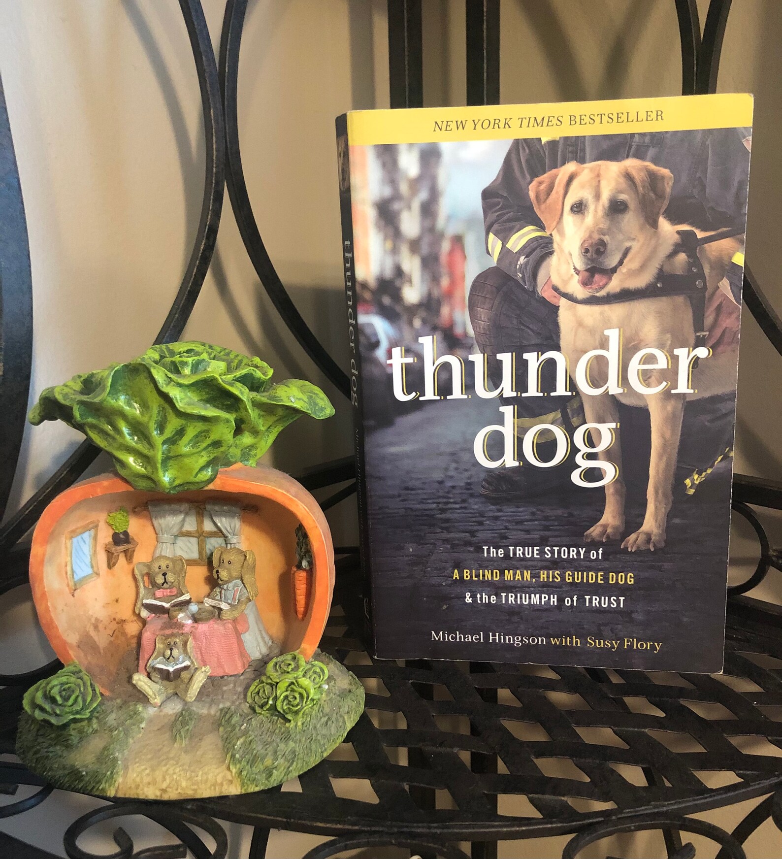 Thunder Dog, Nonfiction, Animals, Dogs, Biography, Memoir ...