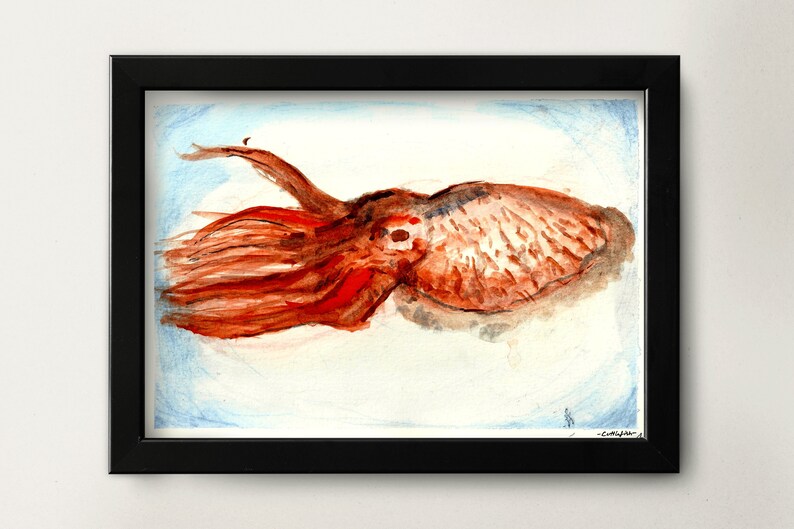 Watercolor Cuttlefish - Etsy
