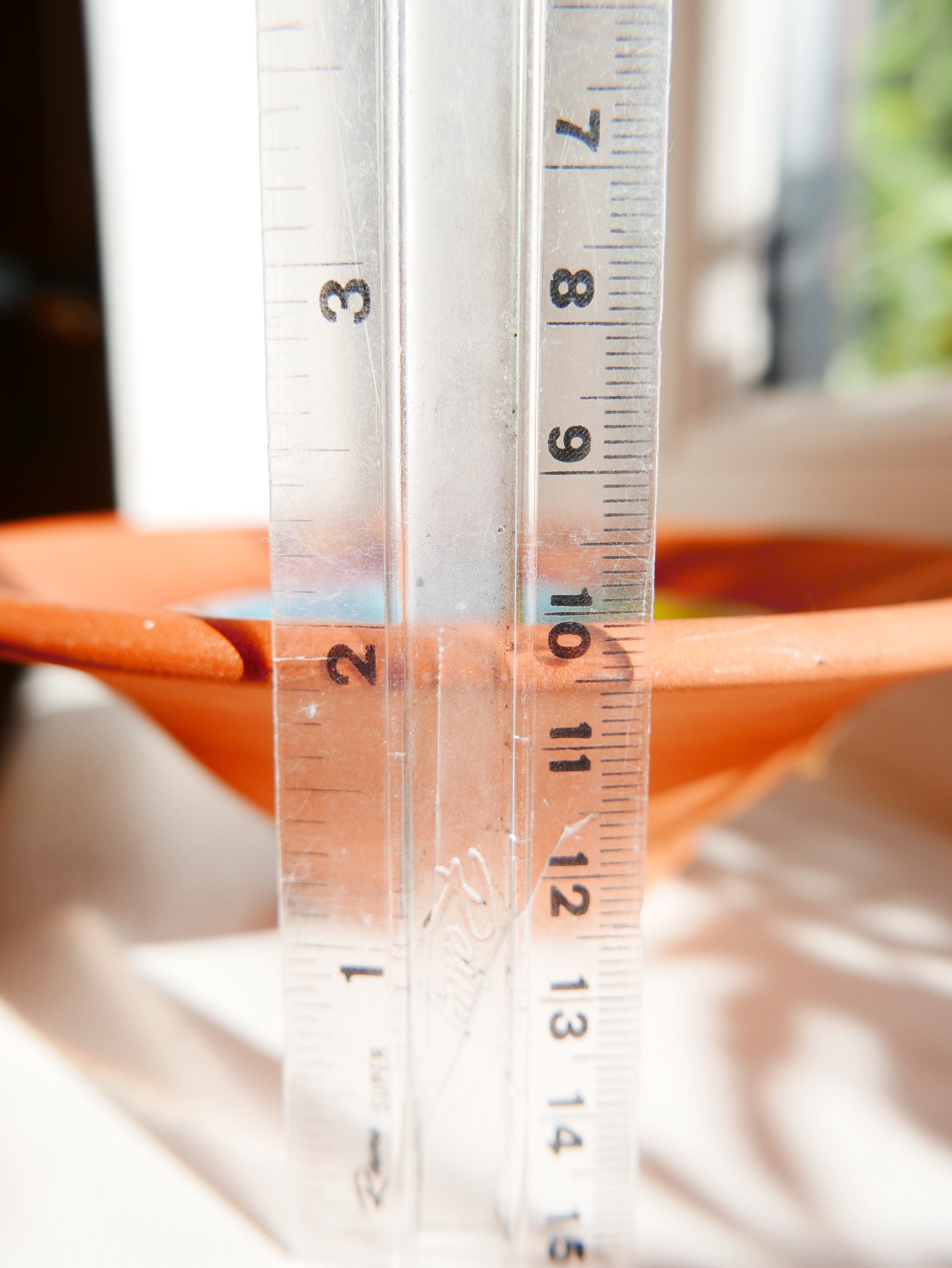 Vintage WENDY BINKS Australian Pottery Bowl, Featuring a Cockatoo Bird ...