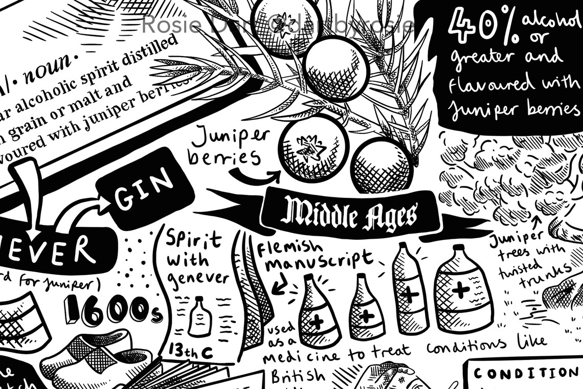 The History of Gin Illustrated Print - Kitchen Print - Bar Print ...