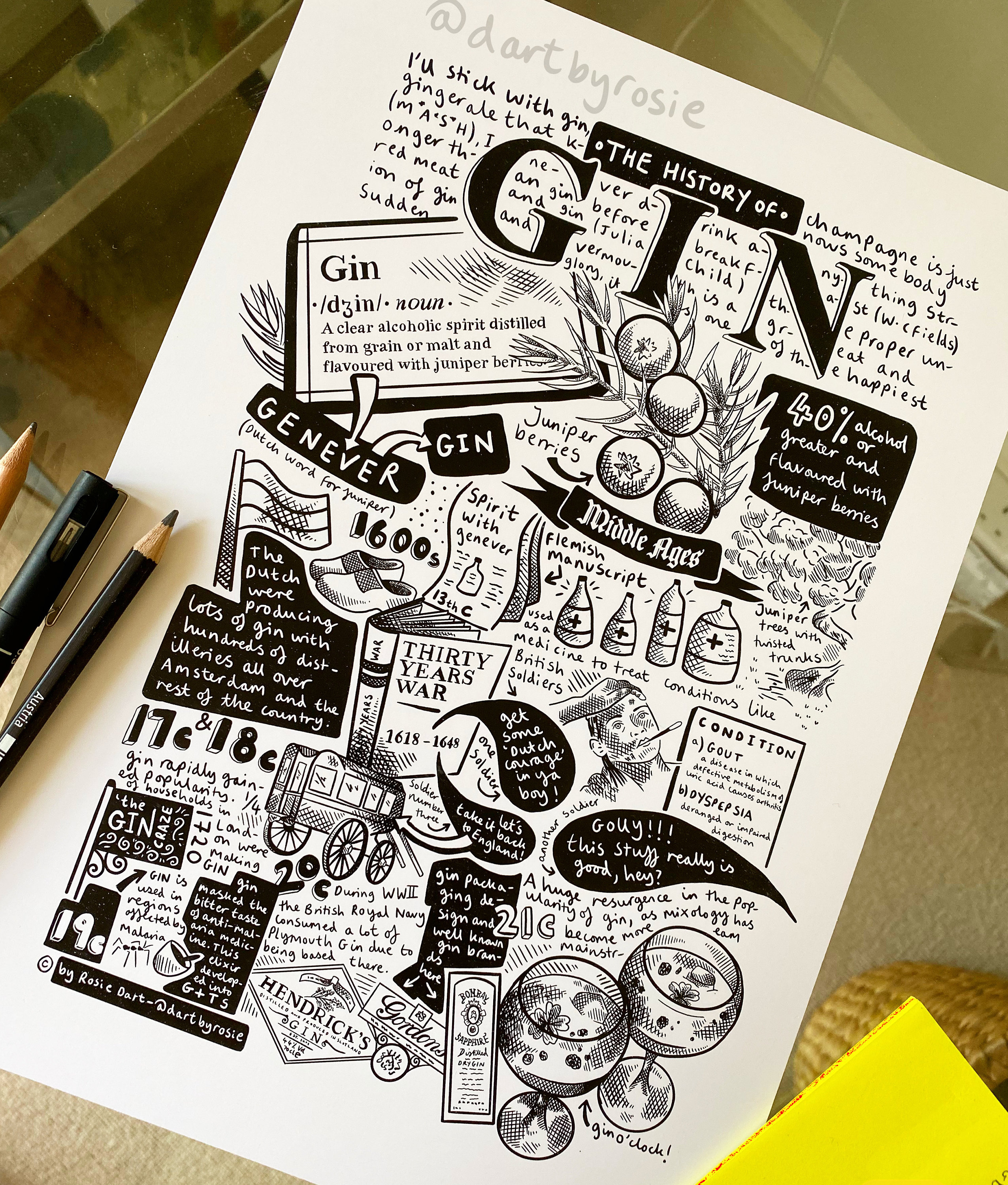 The History of Gin Illustrated Print - Kitchen Print - Bar Print ...